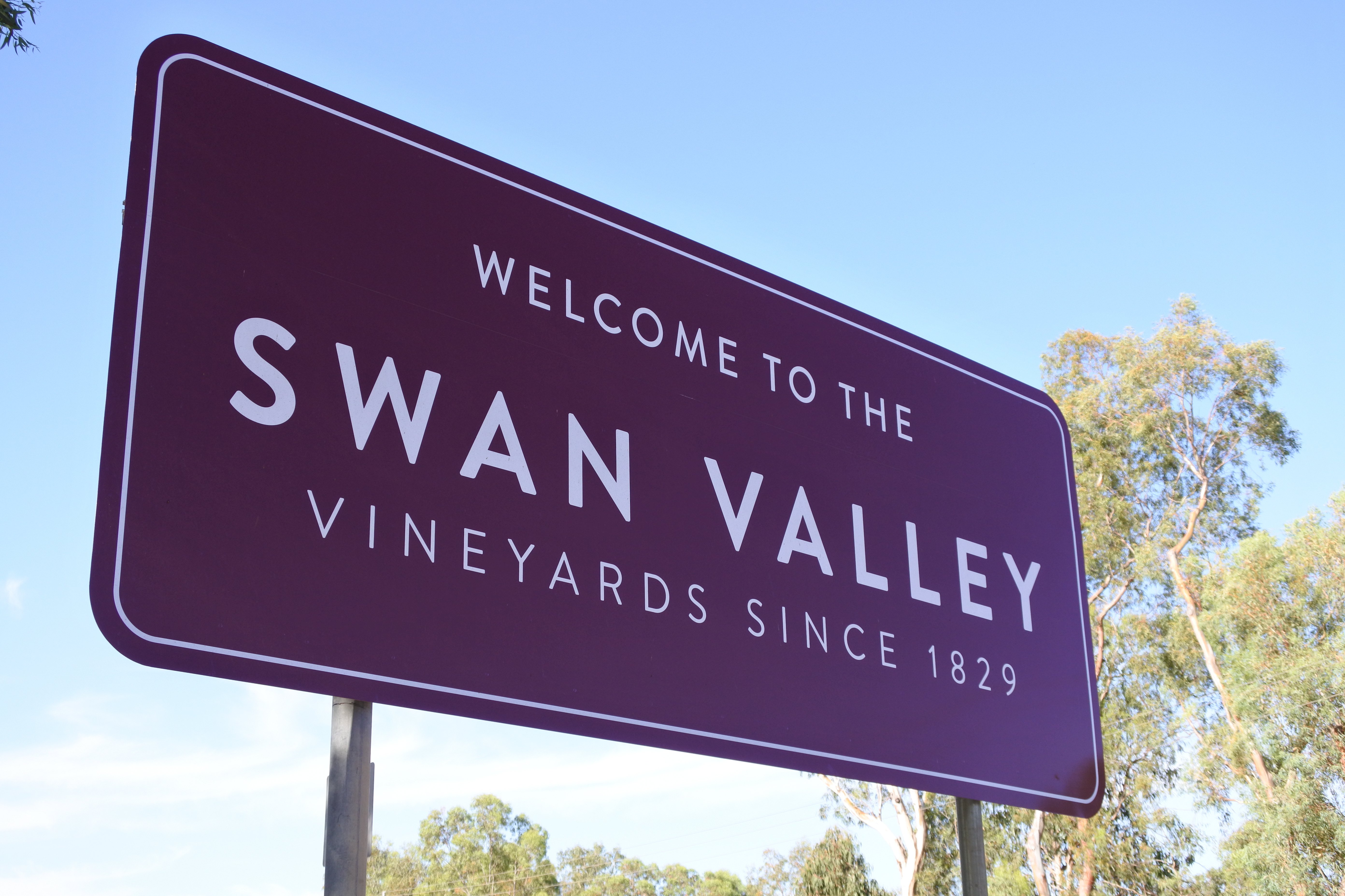 A Taste of Swan Valley: Boutique Wineries & Estate Elegance - Withlocals