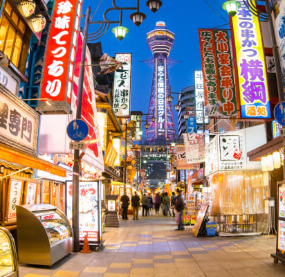 A Magical Evening in Osaka: City Tour - Withlocals