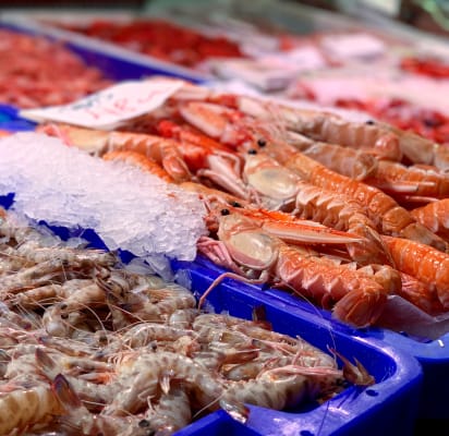 The 10 Tastings of Alicante - Withlocals