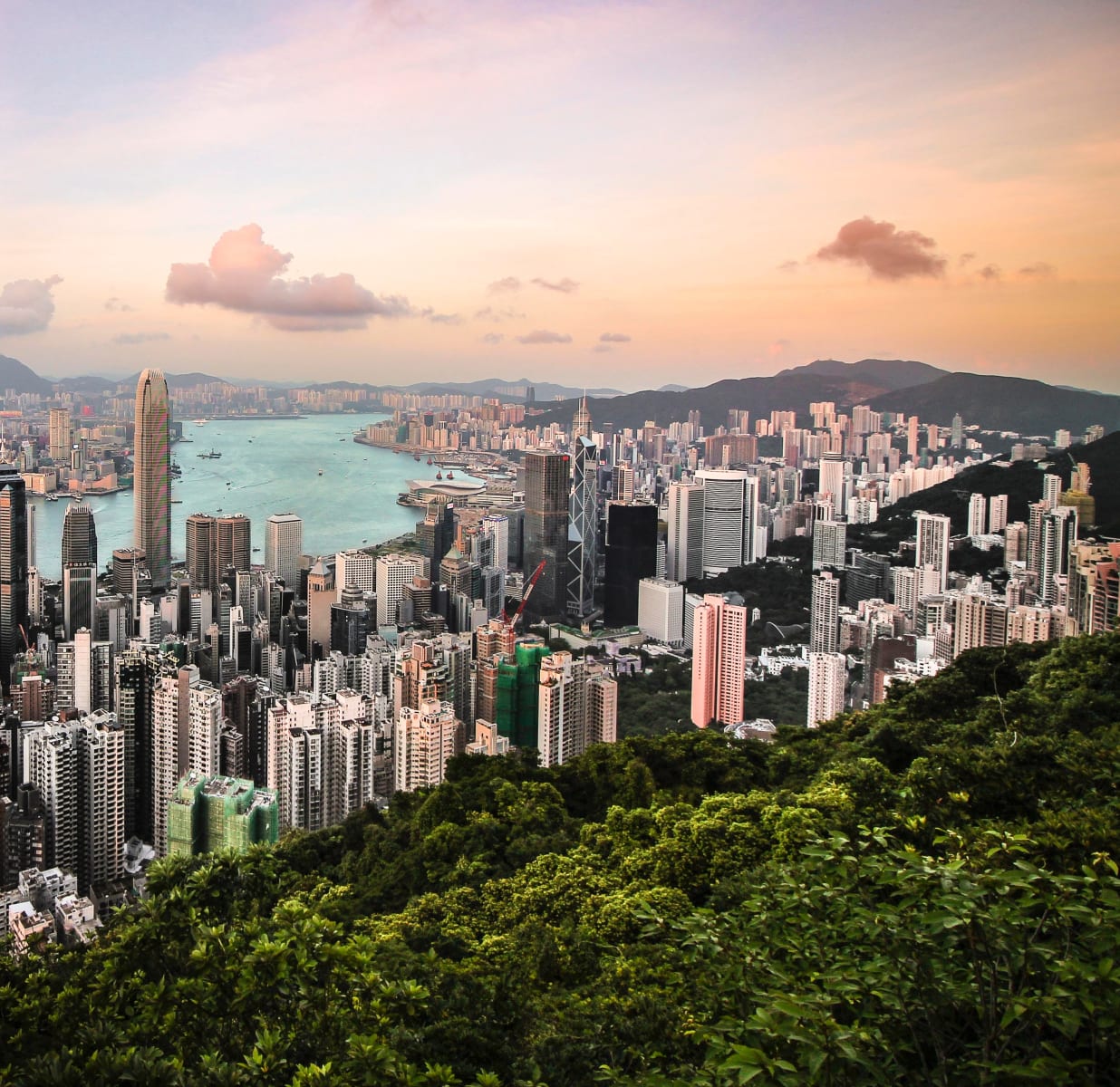 Victoria Peak Garden Walk | Fasci Garden