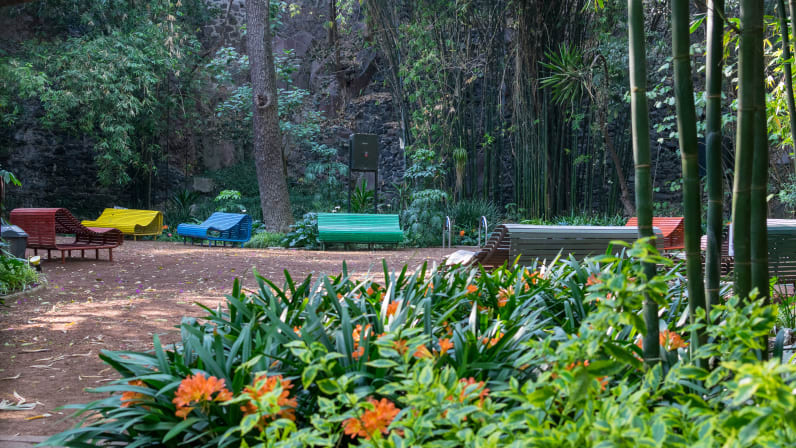 Chapultepec Castle & Forest – History and Nature in the Heart of Mexico ...