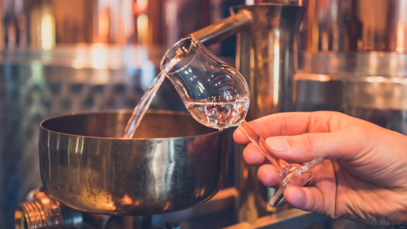 The 10 Tastings of The Hague - Withlocals